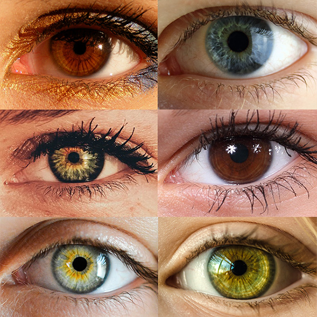 Eye Color Trivia – Newport OR | OC Eye Care